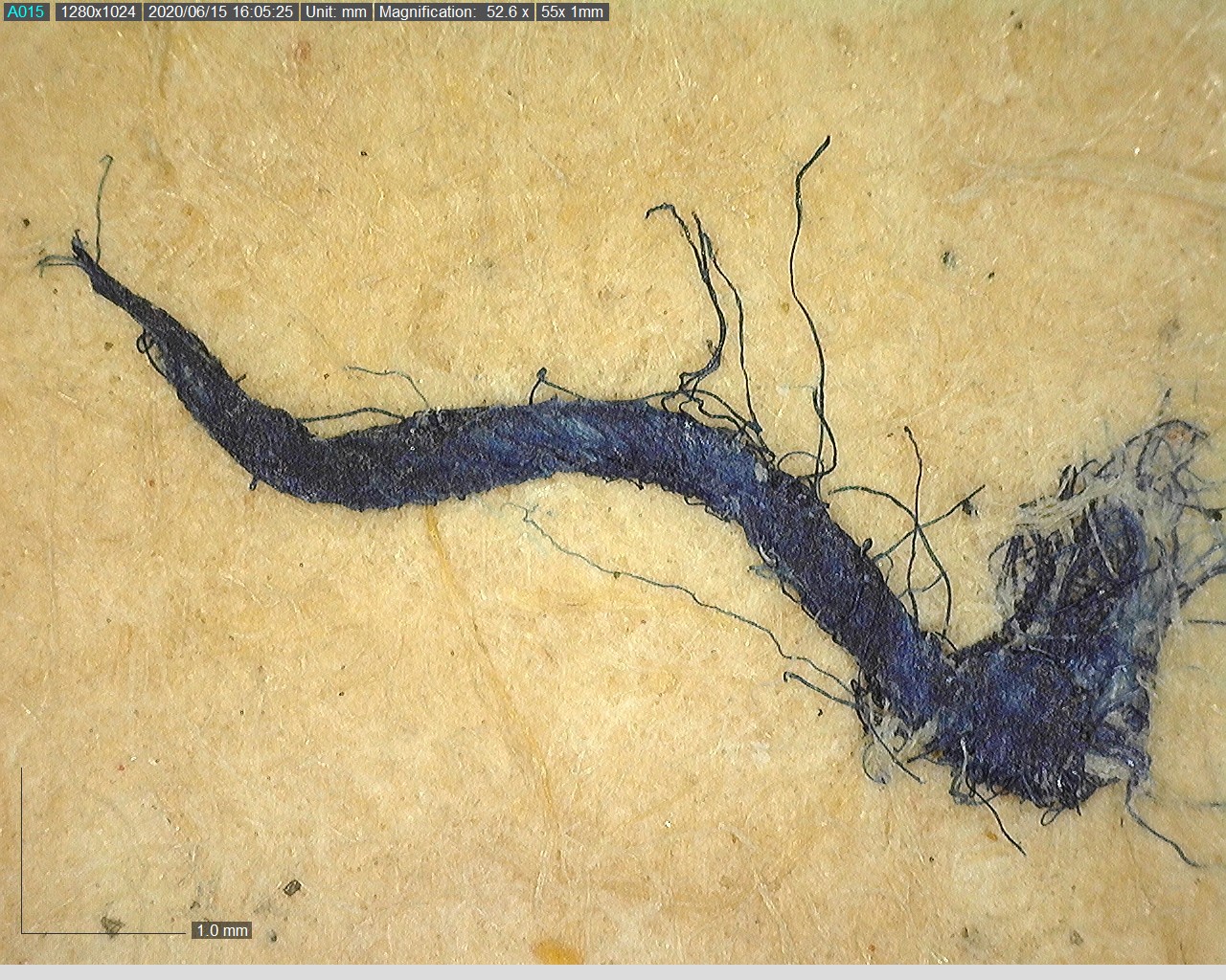 New publication: Sialkoti paper used by Pahari artists: raw materials ...